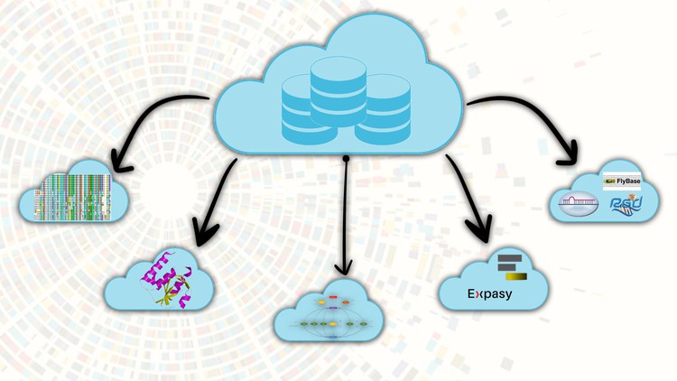 A Comprehensive Guide to Databases in Bioinformatics - Coupon A Comprehensive Guide to Databases in Bioinformatics - Coupon